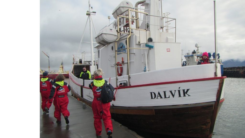 Iceland – Part 3: On to the Northern Coast of Iceland – Detomos Abroad